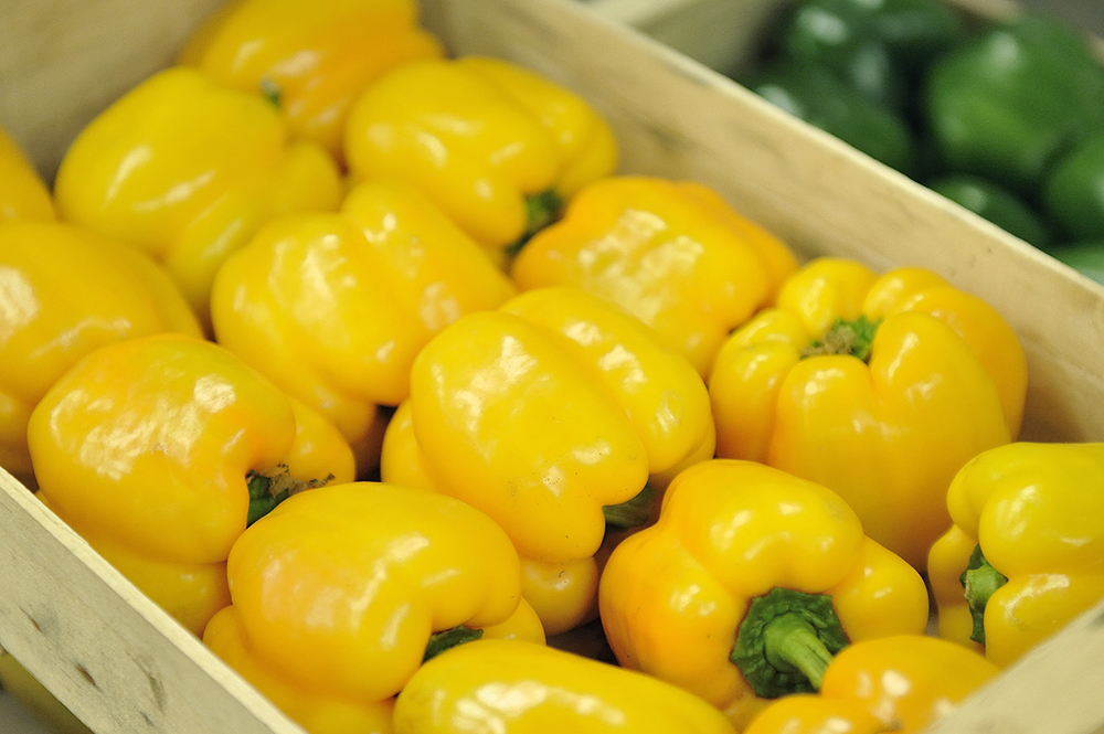 Poivron jaune - Pavillon des Producteurs
